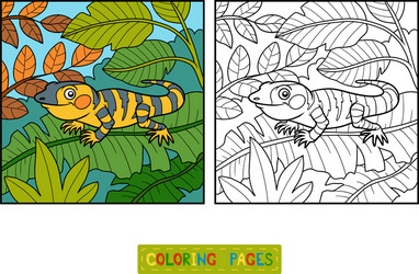 Coloring book xenosaurus Royalty Free Vector Image