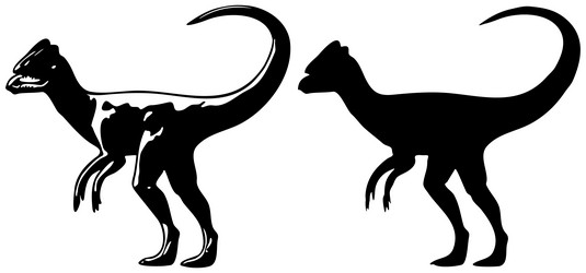 Dinosaur cross looking view tyrannosaurus Vector Image