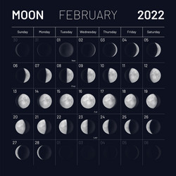 Moon phase calendar 2022 year month cycle planner Vector Image