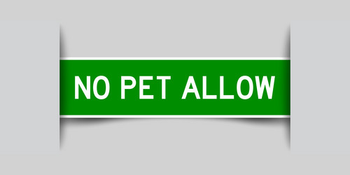 Green color arrow shape sticker label with word Vector Image