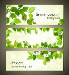Green Banners Vector Images (over 490,000)