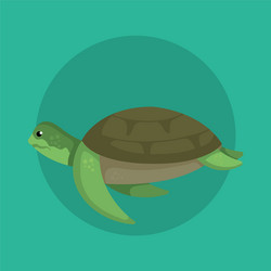 Sulcata Vector Images (22)