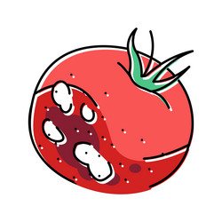 Rotten Tomato Vector Images (over 260)