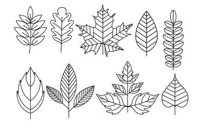 Continuous line drawing leaf set Royalty Free Vector Image