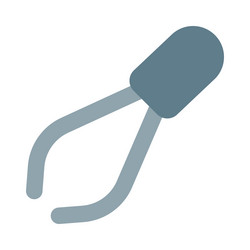 Tweezers hair clipping python isolated on white Vector Image