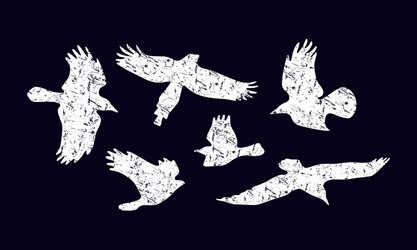 Soaring Logo Vector Images (over 2,200)