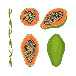 Papaya whole and half papaw or pawpaw ediable Vector Image