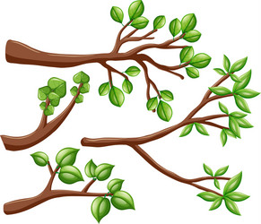 Different types of leaves Royalty Free Vector Image