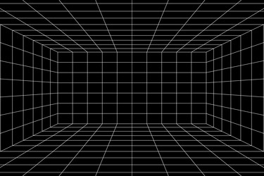 3d white grid of black room with one point Vector Image