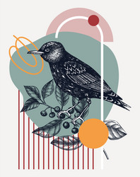 Buc Vector Images (31)