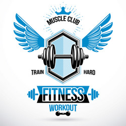 Winged graphic symbol created with disc weight Vector Image