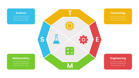 Stem education infographics template diagram Vector Image