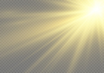 Sun light ray on transparent background beams Vector Image