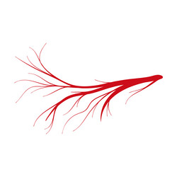 Vein of human cartoon icon Royalty Free Vector Image