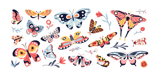 Cute Moth Animated Vector Images (over 2,000)