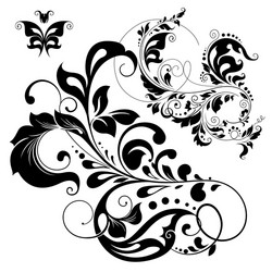 Floral graphic design elements Royalty Free Vector Image
