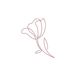 Red rose line art design Royalty Free Vector Image