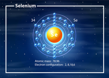 Low and high moon tides education diagram Vector Image