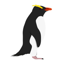 Penguin Side View Vector Images (77)