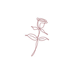 Red rose line art design Royalty Free Vector Image