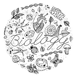 Biology Lettering Vector Images (over 8,300)