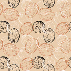Brazil nut seamless pattern with tropical fruit Vector Image