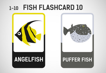 Fish flashcards for kids educational cards Vector Image