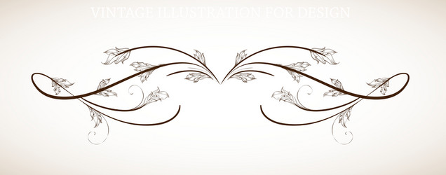 Filigree design Royalty Free Vector Image - VectorStock