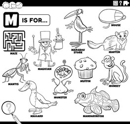 Cartoon penguin coloring book game for kids Vector Image