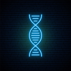 Squash neon sign Royalty Free Vector Image - VectorStock