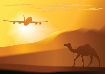 Flying Camel Vector Images (over 300)