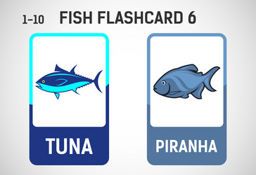 Fish flashcards for kids educational cards Vector Image