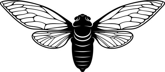 Cicada design creative logo Royalty Free Vector Image