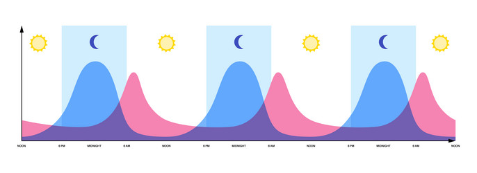 Sleep wake cycle Royalty Free Vector Image - VectorStock