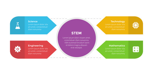 Stem education infographics template diagram Vector Image
