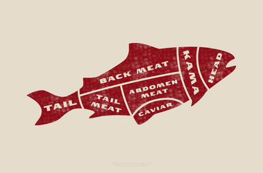 Fish cuts diagram in silhouette style Royalty Free Vector