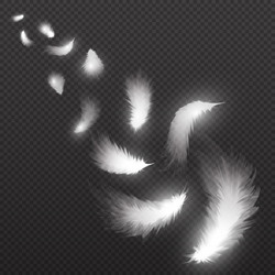 Plume Vector Images (over 12,000)