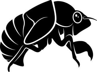 Cicada design creative logo Royalty Free Vector Image