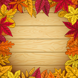 Wooden frame with autumn leaves rowan and maple Vector Image