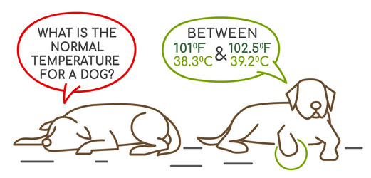 Normal temperature for a pet medical Royalty Free Vector