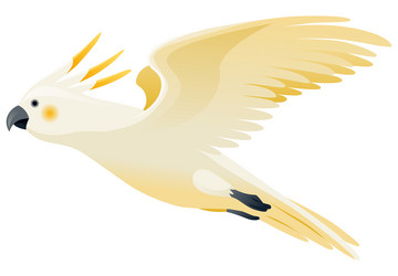 Parrot animation exotic adorable fauna character Vector Image