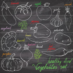 Vegetables sketch cover art with pastel bright Vector Image