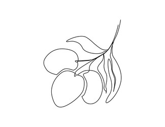 Continuous line art drawing of pineapple fruit Vector Image