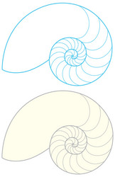 Nautilus Outline Vector Images (over 620)