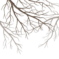Branches Vector Images (over 560,000)