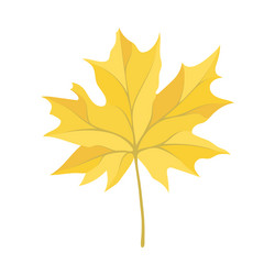 Autumn leaves realistic yellow and red fall leaf Vector Image