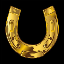 Bronze and silver horseshoe good luck symbol Vector Image