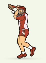 Irish hurley sport hurling player action Vector Image