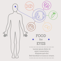 Walnut Eyes Vector Images (over 260)