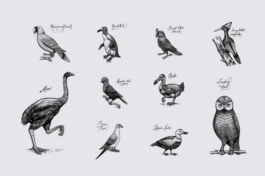 Extinct species wild mammal animals and birds Vector Image